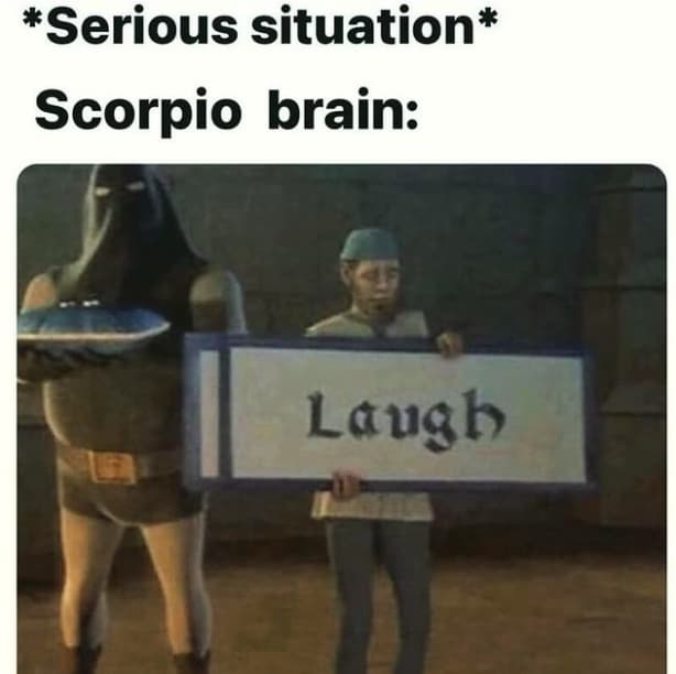 Scorpio Man Memes 25 Scorpio Memes We Can Relate To