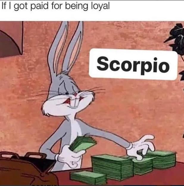 Scorpio Man Memes 25 Scorpio Memes We Can Relate To