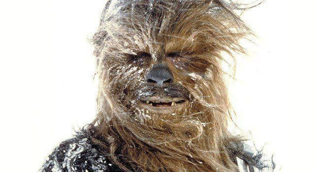 Things You Didn't Know About Chewbacca
