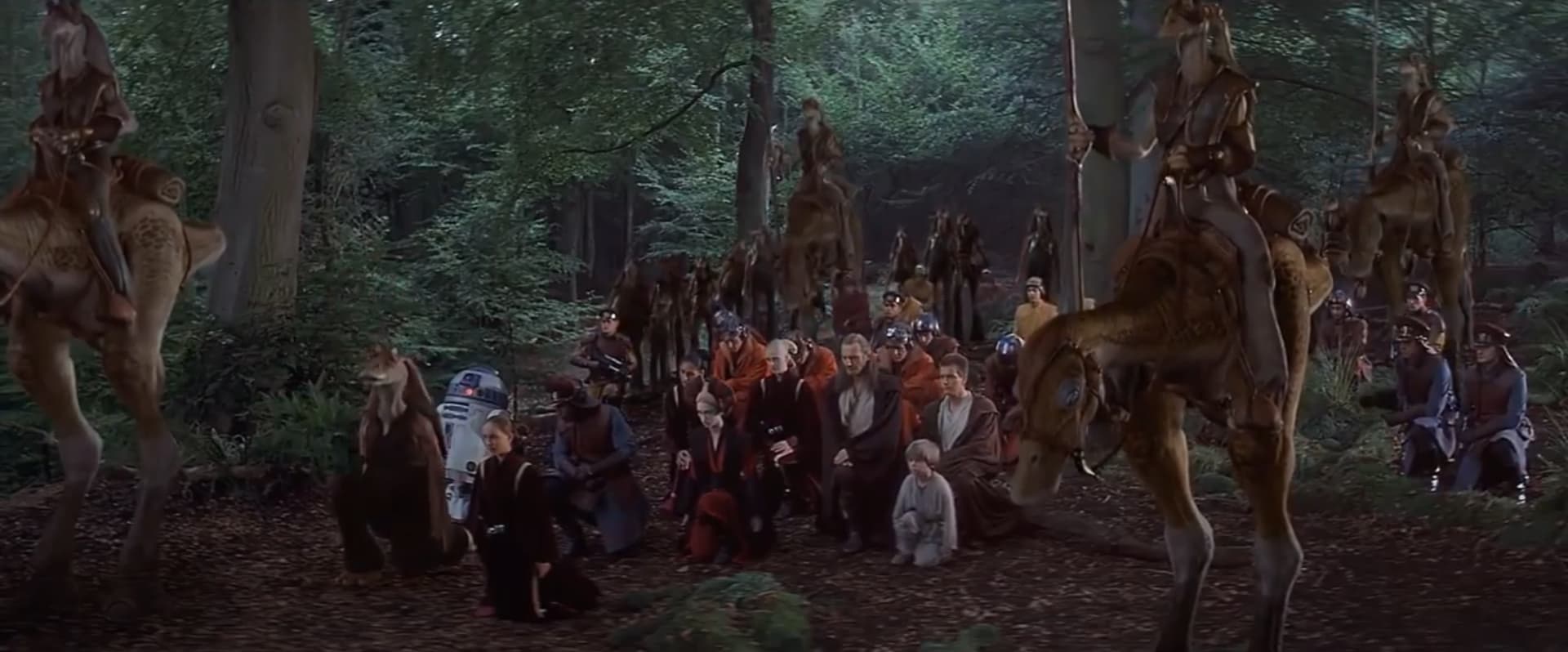 Things You Didn't Know About Gungans