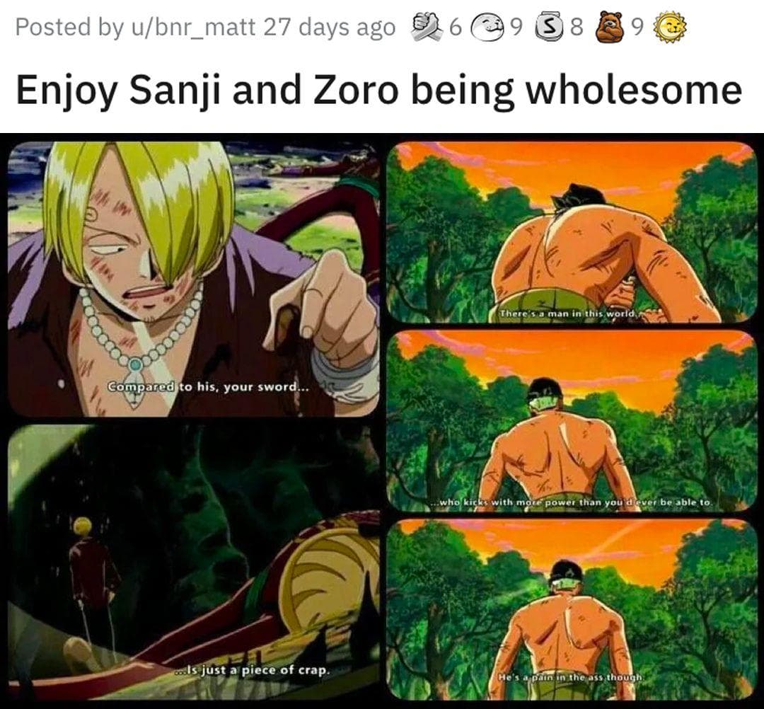 17 Fans Share Something About Roronoa Zoro We Never Noticed Before