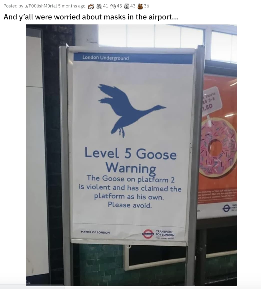 27 Signs That Are Way Funnier Than They Needed To Be