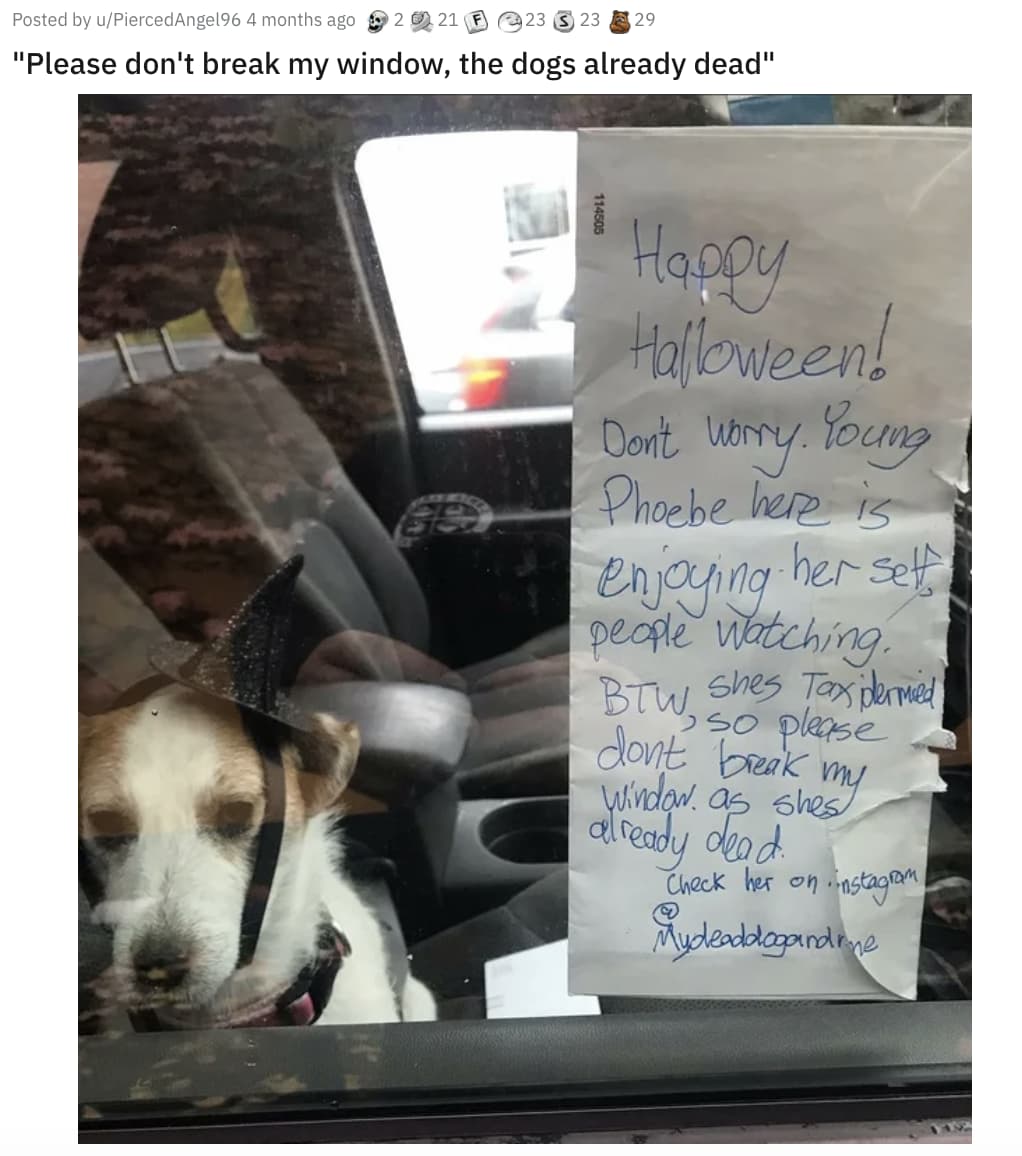 27 Signs That Are Way Funnier Than They Needed To Be