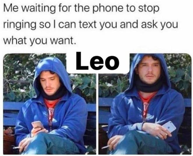 25 Hilariously Relatable Leo Memes