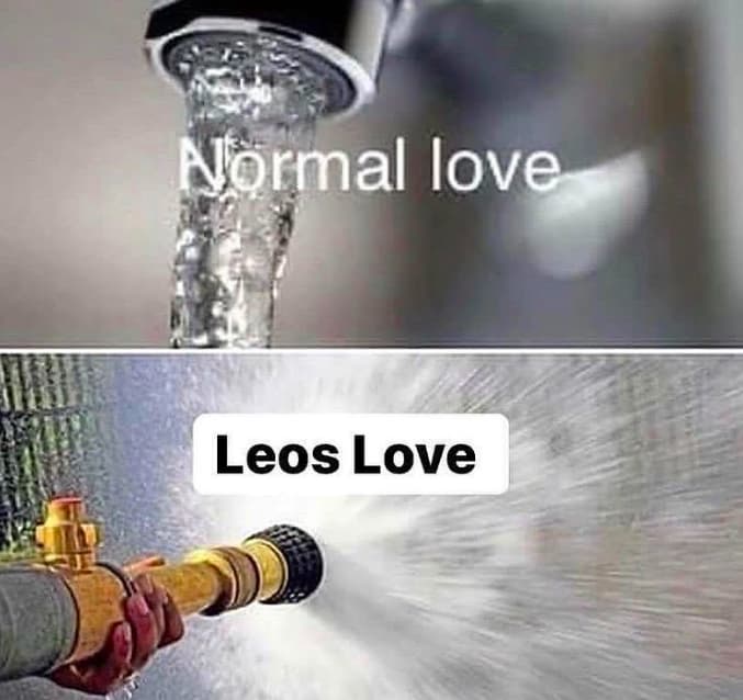 25 Hilariously Relatable Leo Memes
