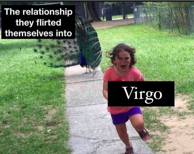 25 Funny Virgo Memes
