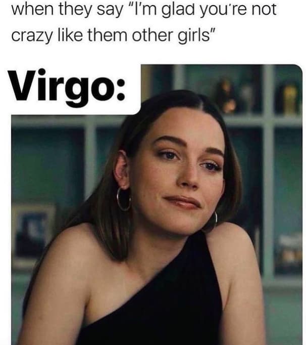 25 Funny Virgo Memes