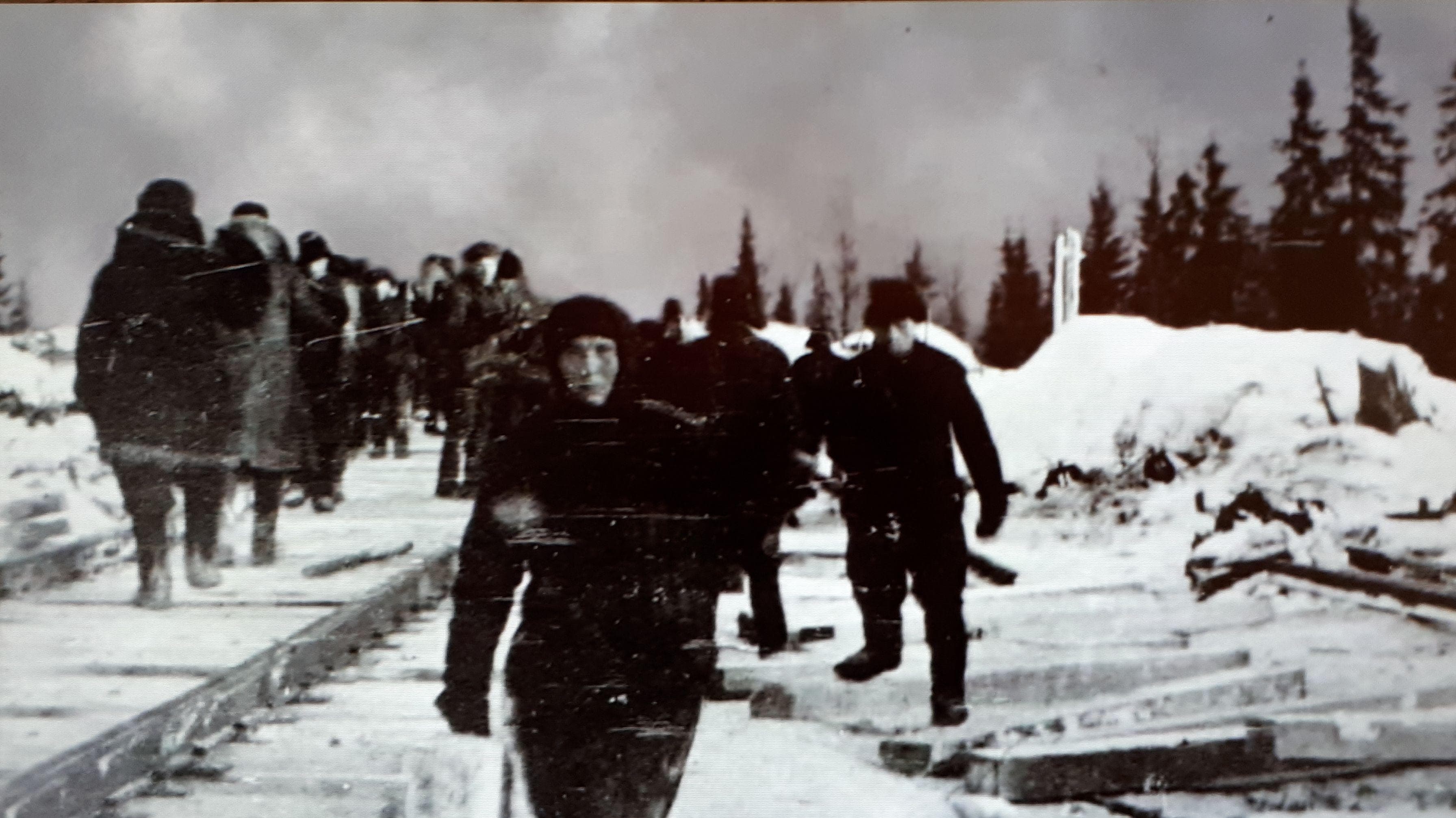 The Awful History Of Nazino Tragedy, The Island Of Death