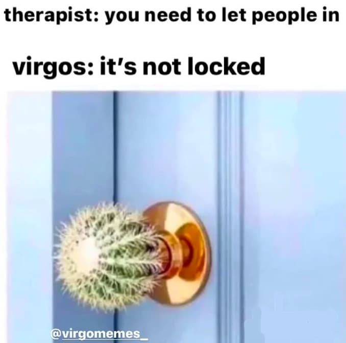 25 Funny Virgo Memes