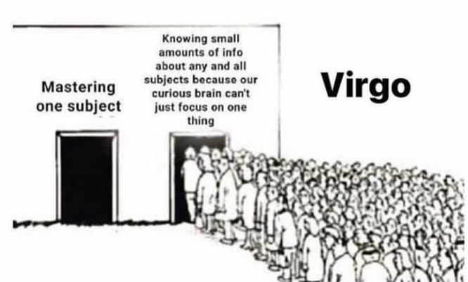 25 Funny Virgo Memes