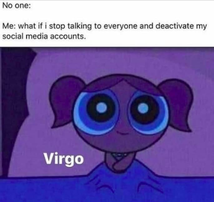 25 Funny Virgo Memes