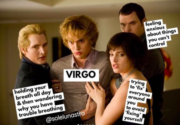 25 Funny Virgo Memes