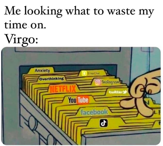 25 Funny Virgo Memes