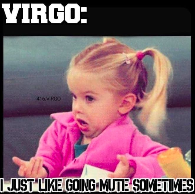 25 Funny Virgo Memes