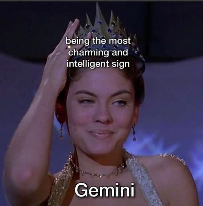 25 Funny Gemini Memes