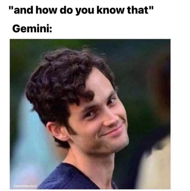 25 Funny Gemini Memes