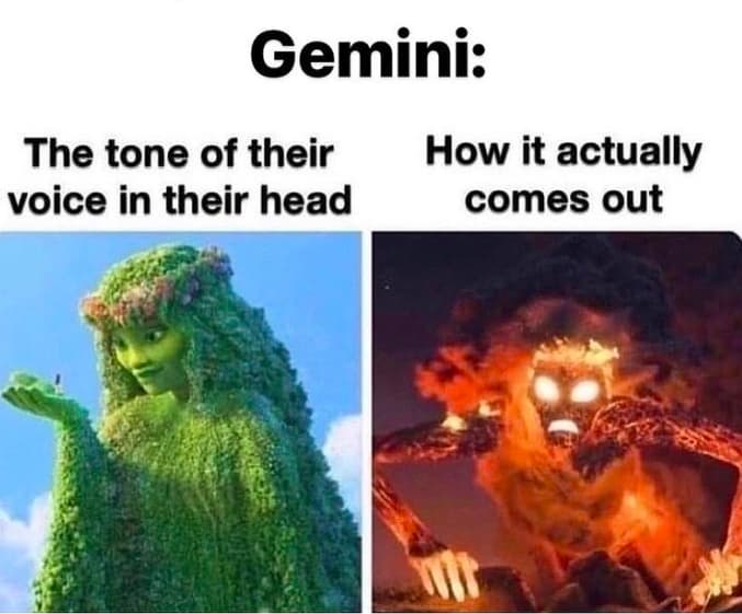 25 Funny Gemini Memes
