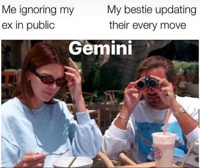 25 Funny Gemini Memes
