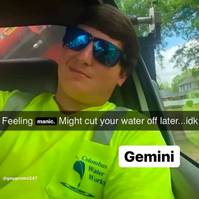 25 Funny Gemini Memes