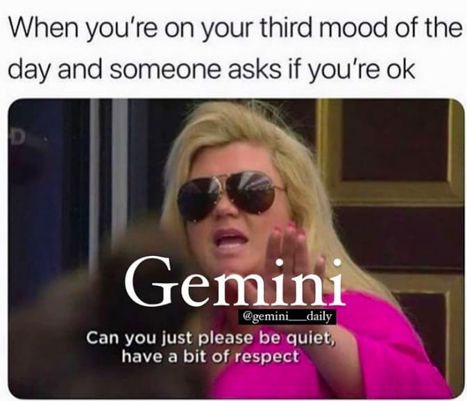 25 Funny Gemini Memes