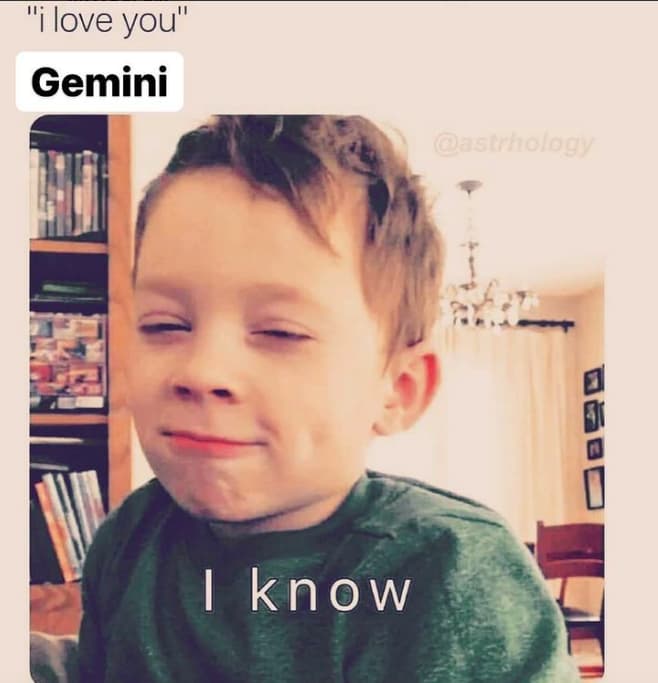 25 Funny Gemini Memes