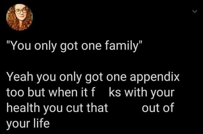 52 Of The Best Comebacks We Found On The Internet In 2021