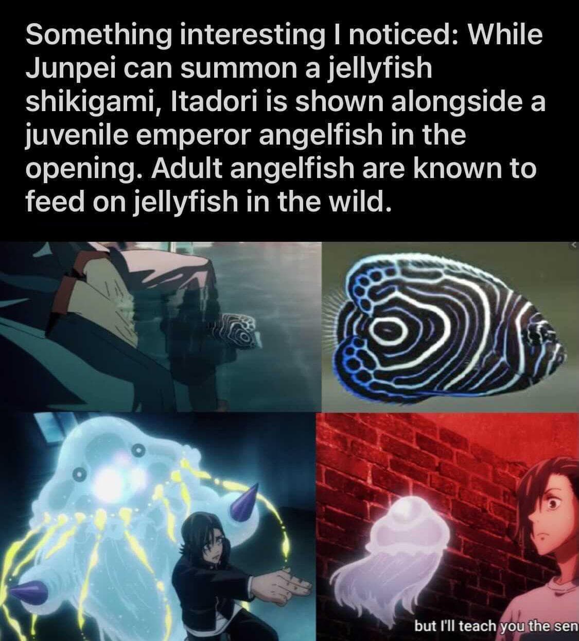 Fans Share Something About 'Jujutsu Kaisen' We Never Noticed Before