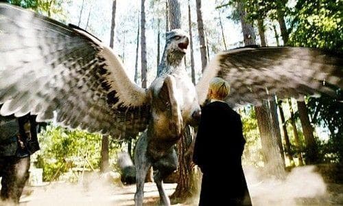 Things You Didn't Know About 'The Prisoner Of Azkaban' If You've Only ...