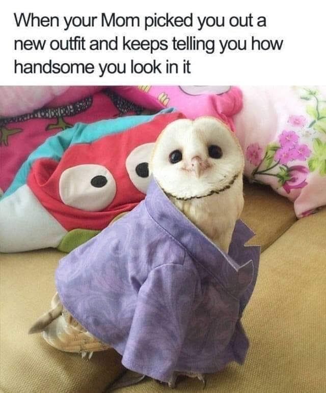 31 Heartwarming Memes That Prove How Amazing Our Moms Can Be