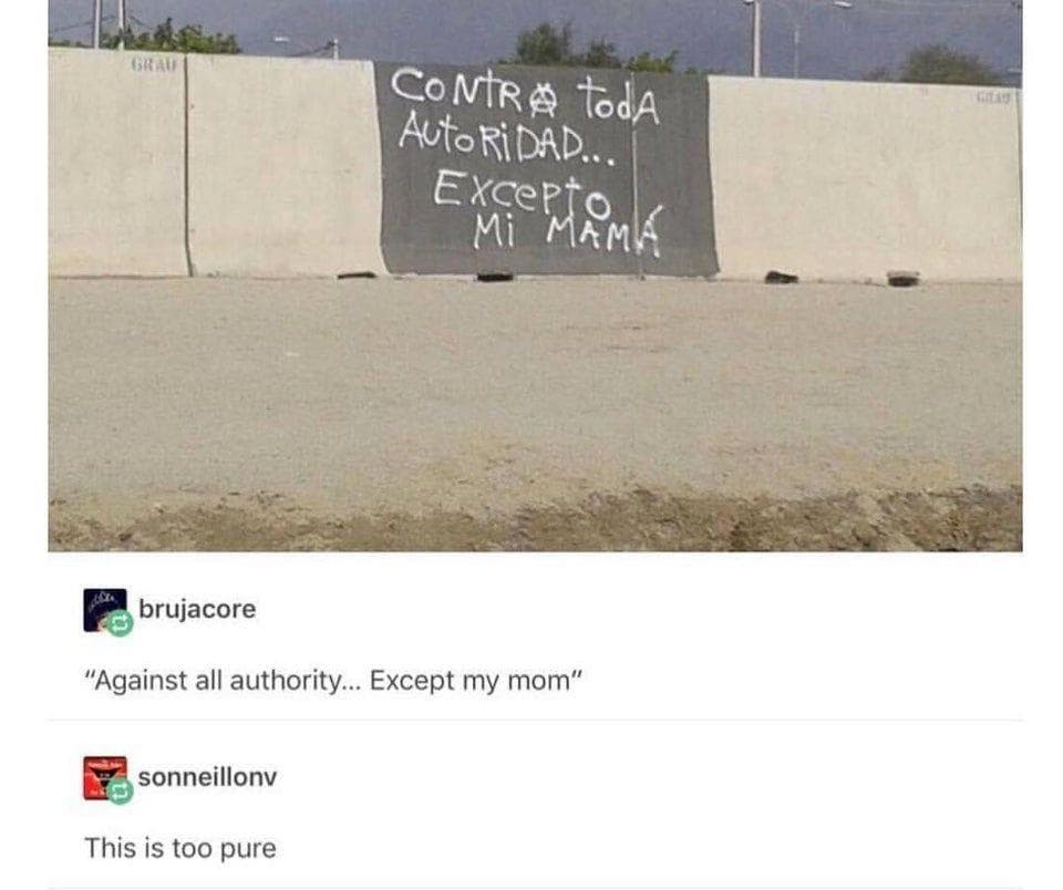 31 Heartwarming Memes That Prove How Amazing Our Moms Can Be