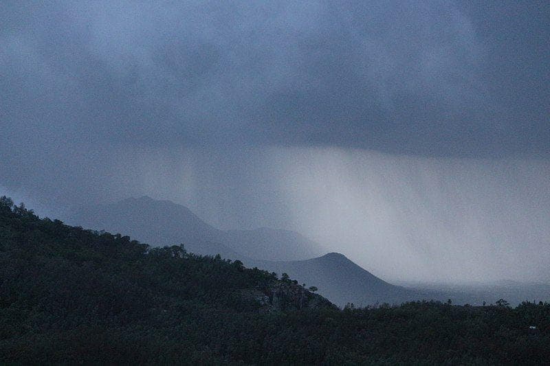 Facts We Learned About Science And Nature In 2021