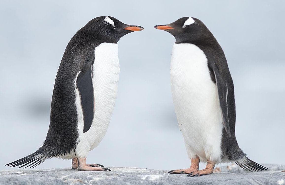 Fun Facts We Just Learned That We Can't Wait To Share With Friends