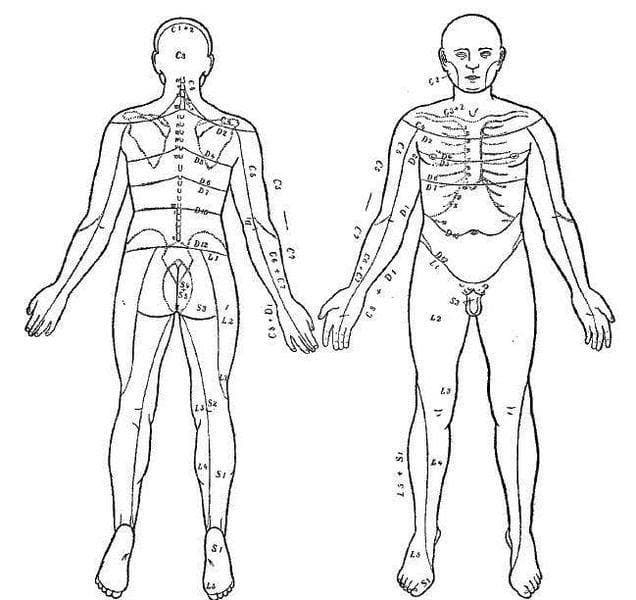 17 Things We Learned About Human Bodies In 2021 That Made Us Wonder If ...