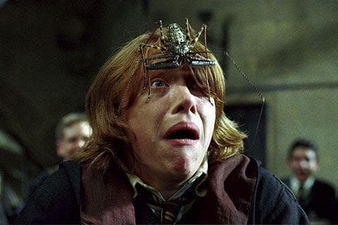 Facts About Ron Weasley You Wouldn't Know If You've Only Seen The Movies