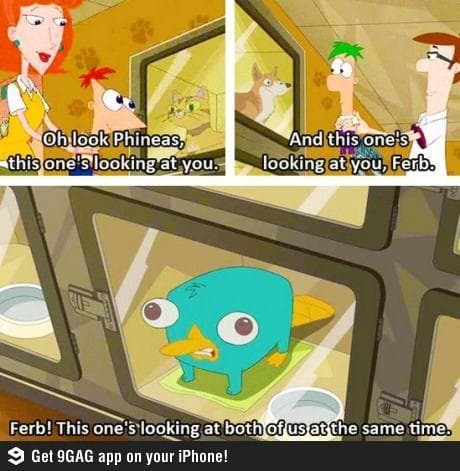 Hilarious Moments That Prove Perry The Platypus Was An Essential Part ...