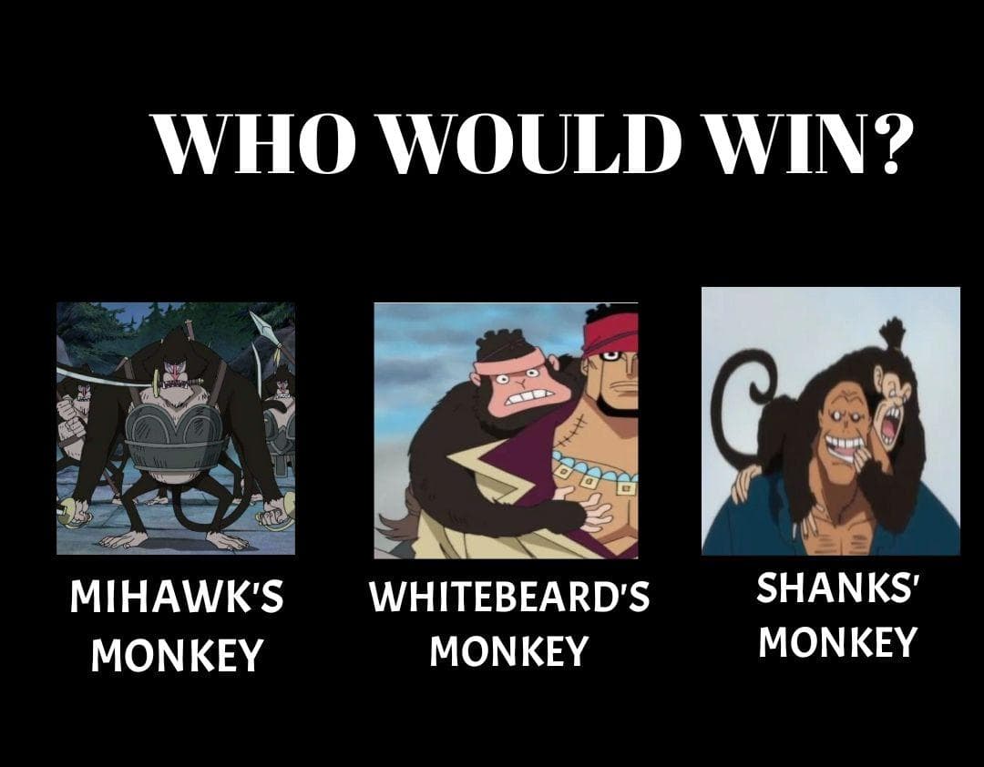 16 Random 'One Piece' Memes We Saw This Month That Were Actually Pretty ...