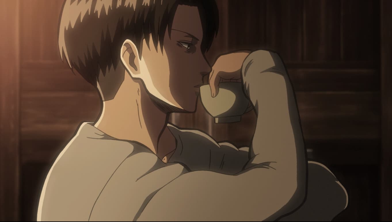 15 Little-Known Facts About Levi That Every 'Attack On Titan' Fan Needs ...