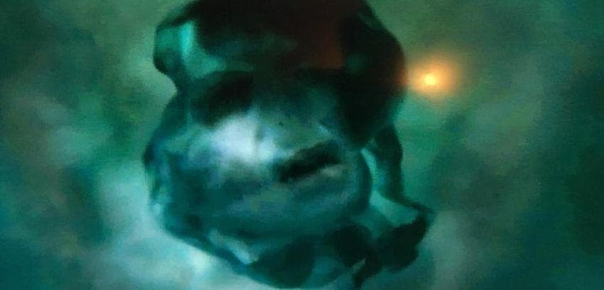 Small Details Fans Noticed About Voldemort, Bellatrix, and Lucius