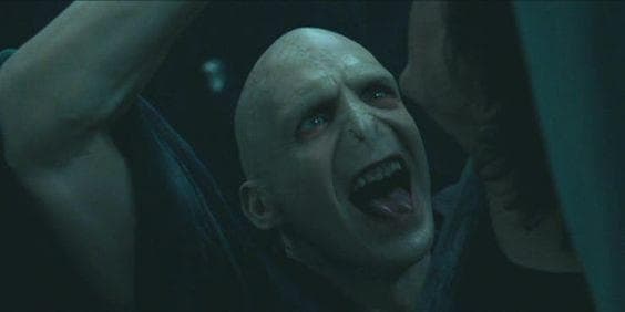 Small Details Fans Noticed About Voldemort, Bellatrix, and Lucius