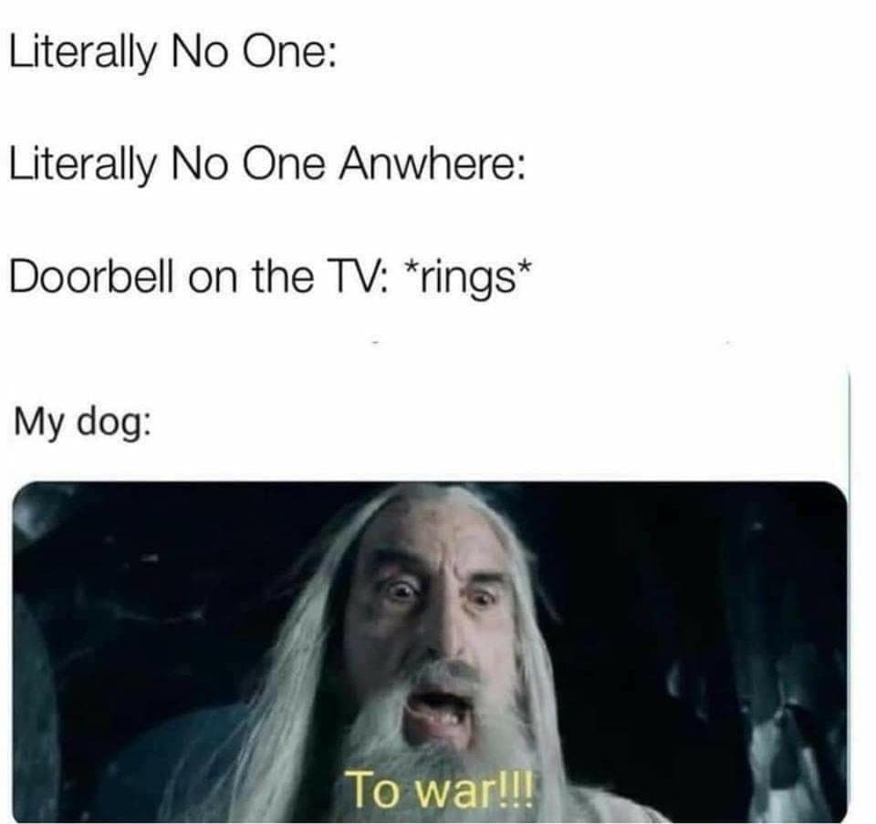 22 'Lord Of The Rings' Memes That Are Hilariously Relatable