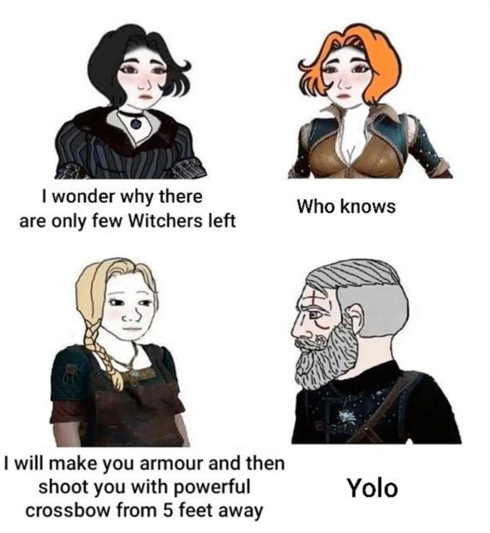 20 'Witcher' Memes That Actually Made Us Laugh