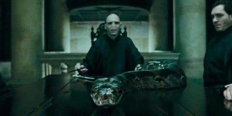 Things You Didn't Know About Lord Voldemort