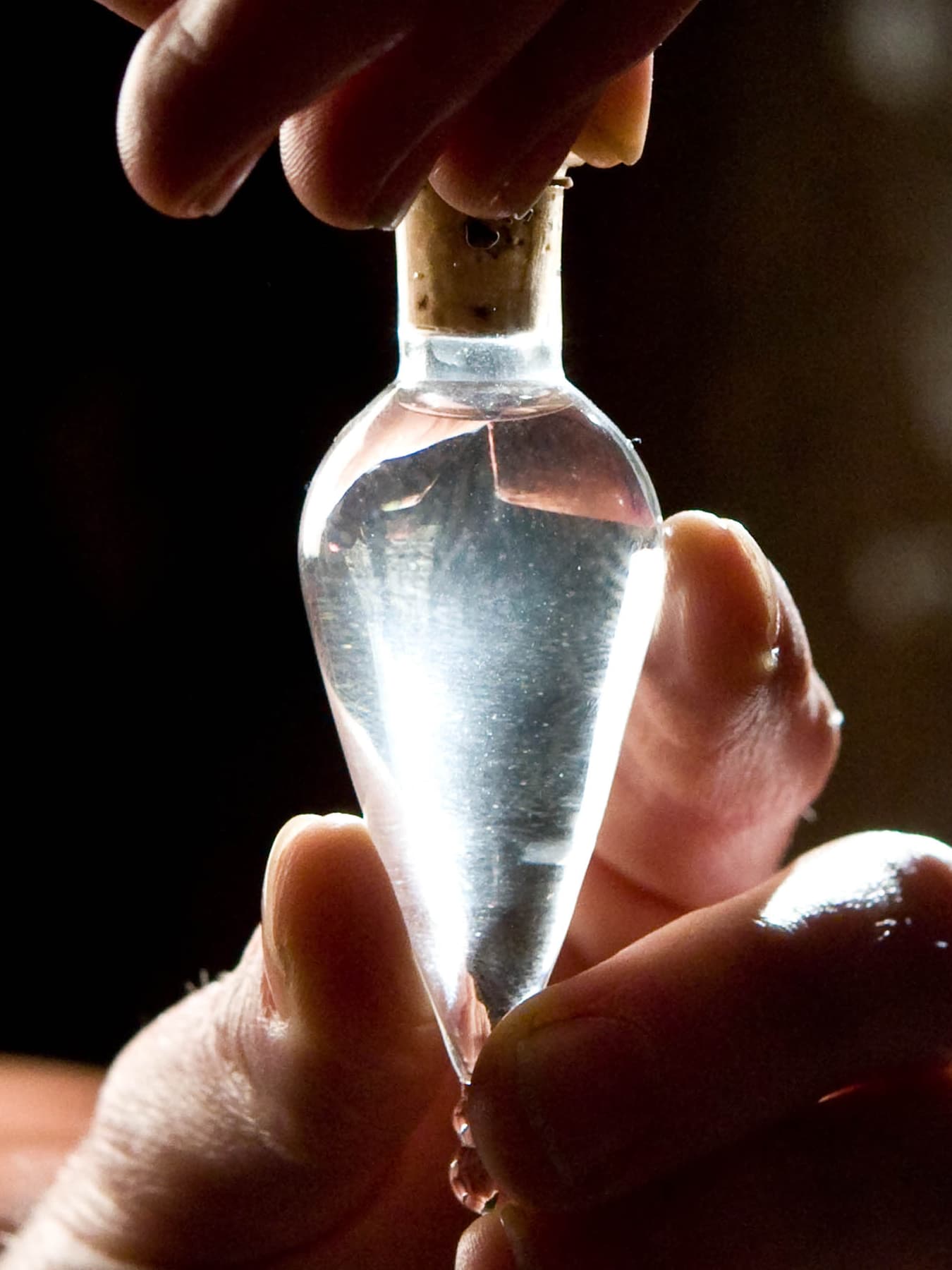 Things You Didn't Know About The Unforgivable Curses