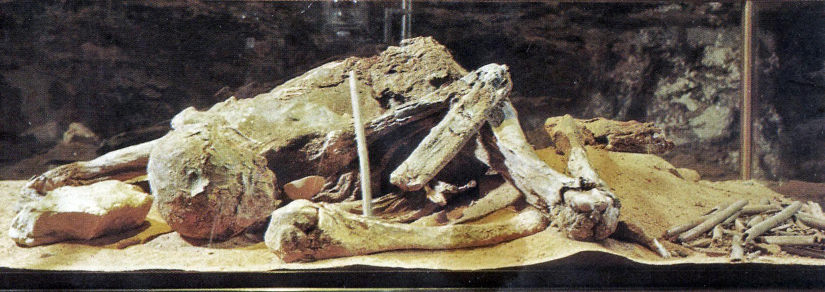 The History Behind Funeral Traditions Still Practiced Today