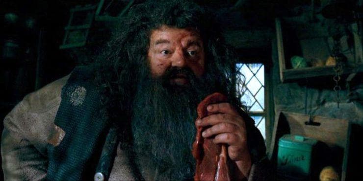 Things You Probably Didn't Know About Hagrid