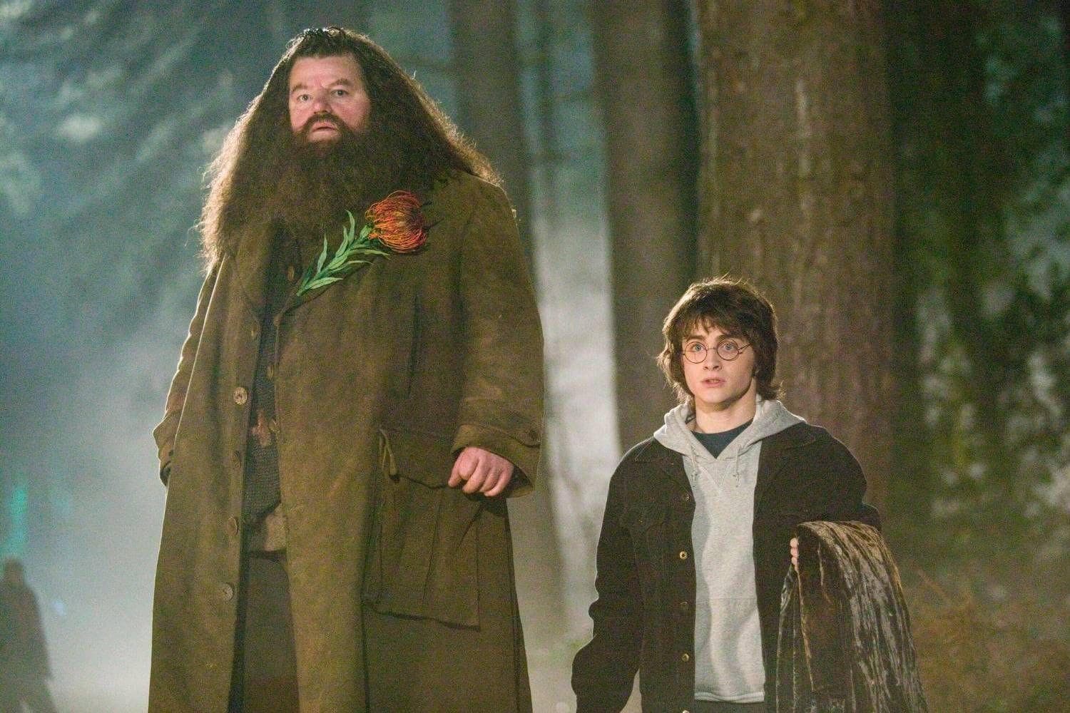 Things You Probably Didn't Know About Hagrid