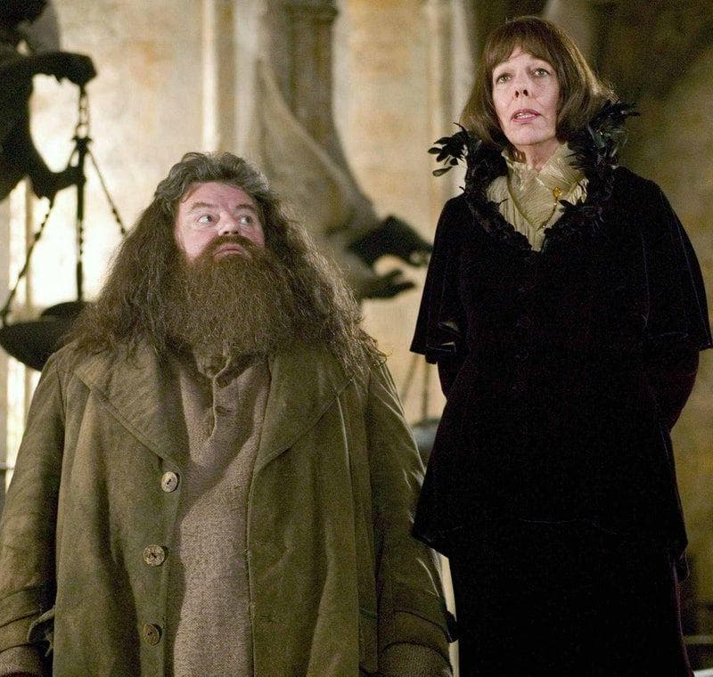 Things You Probably Didn't Know About Hagrid