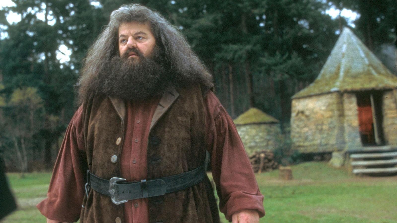 Things You Probably Didn't Know About Hagrid