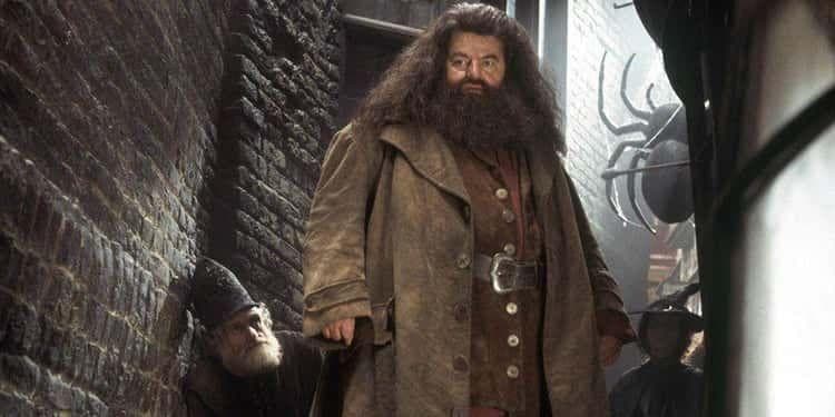 Things You Probably Didn't Know About Hagrid
