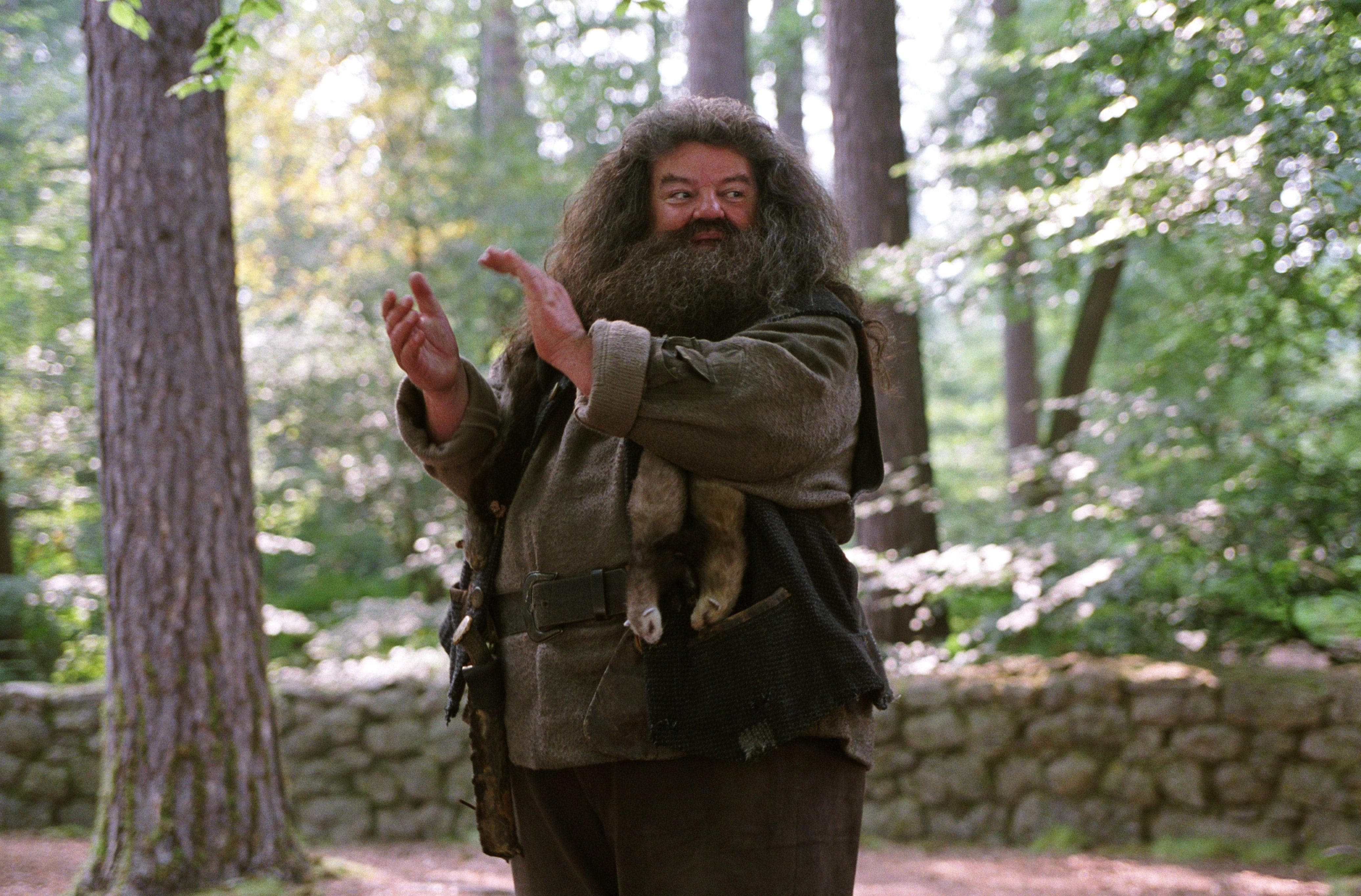 Things You Probably Didn't Know About Hagrid